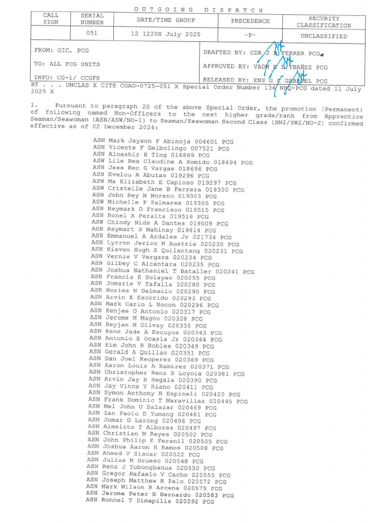 Cgao 0725 051 | PDF