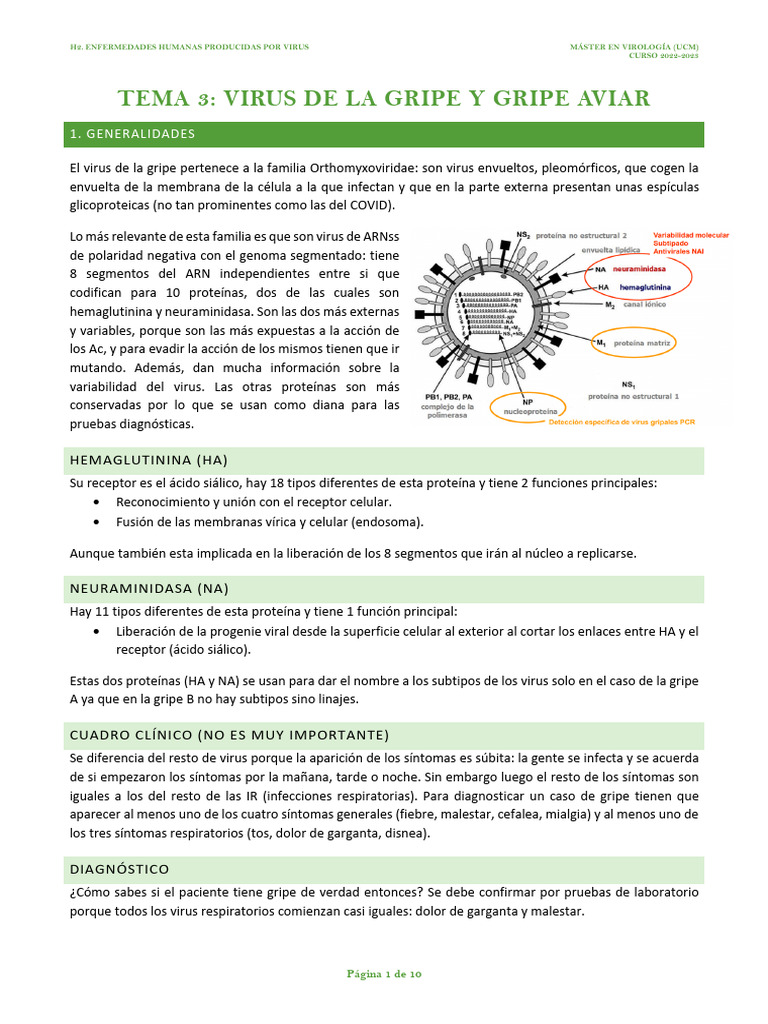 Síntomas de la Gripe Asiática | PDF | Influenza | Influenza aviar