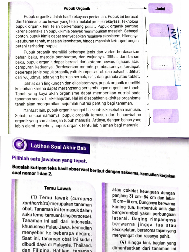 Print Bahan Ajar Bindo 9 | PDF