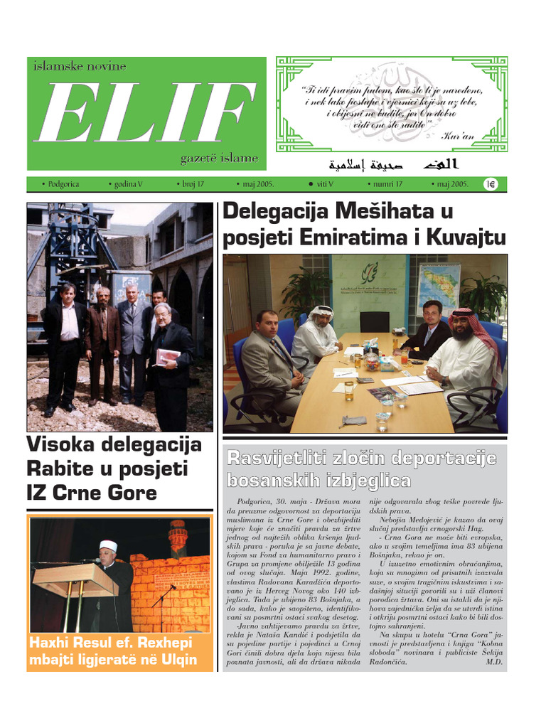 Elif 8 | PDF