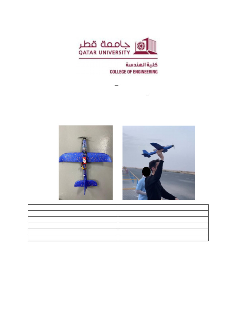 Aircraft Design Project Final Report | PDF | Lift (Force) | Drag (Physics)