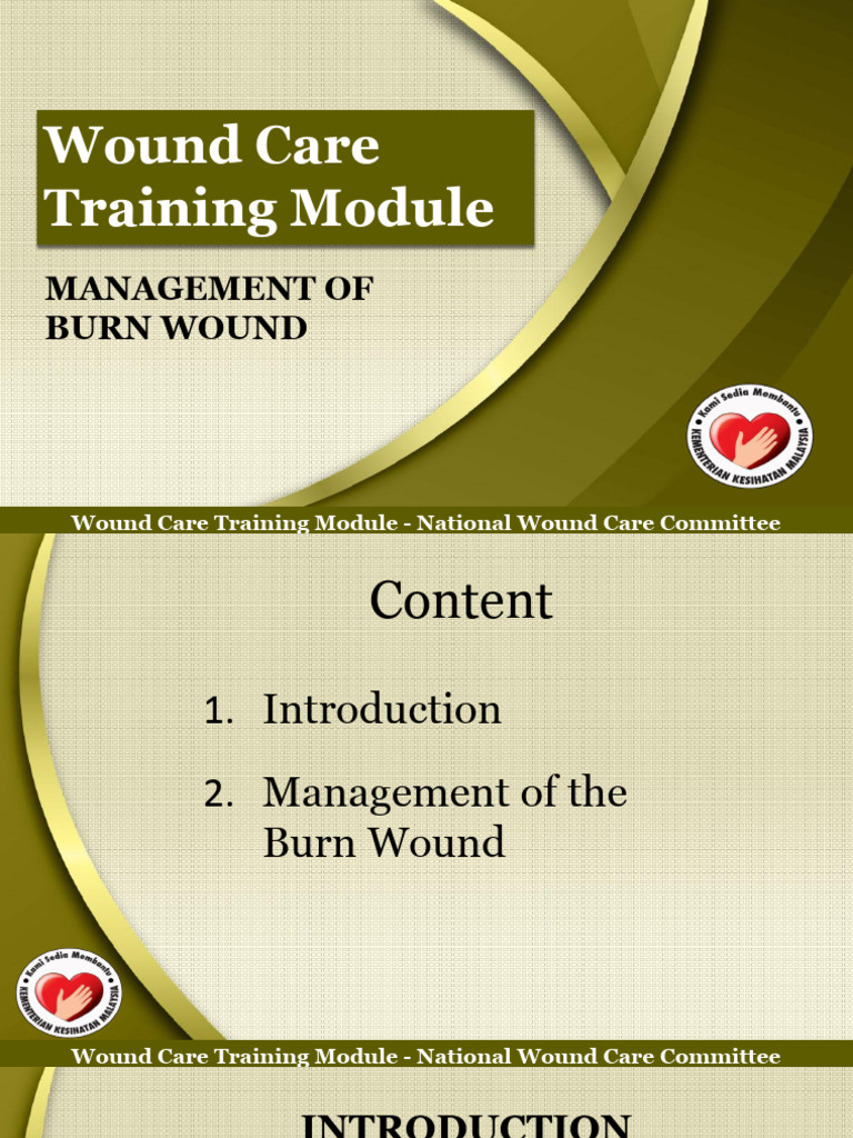 Burn Wound Management Guidelines | PDF | Burn | Wound