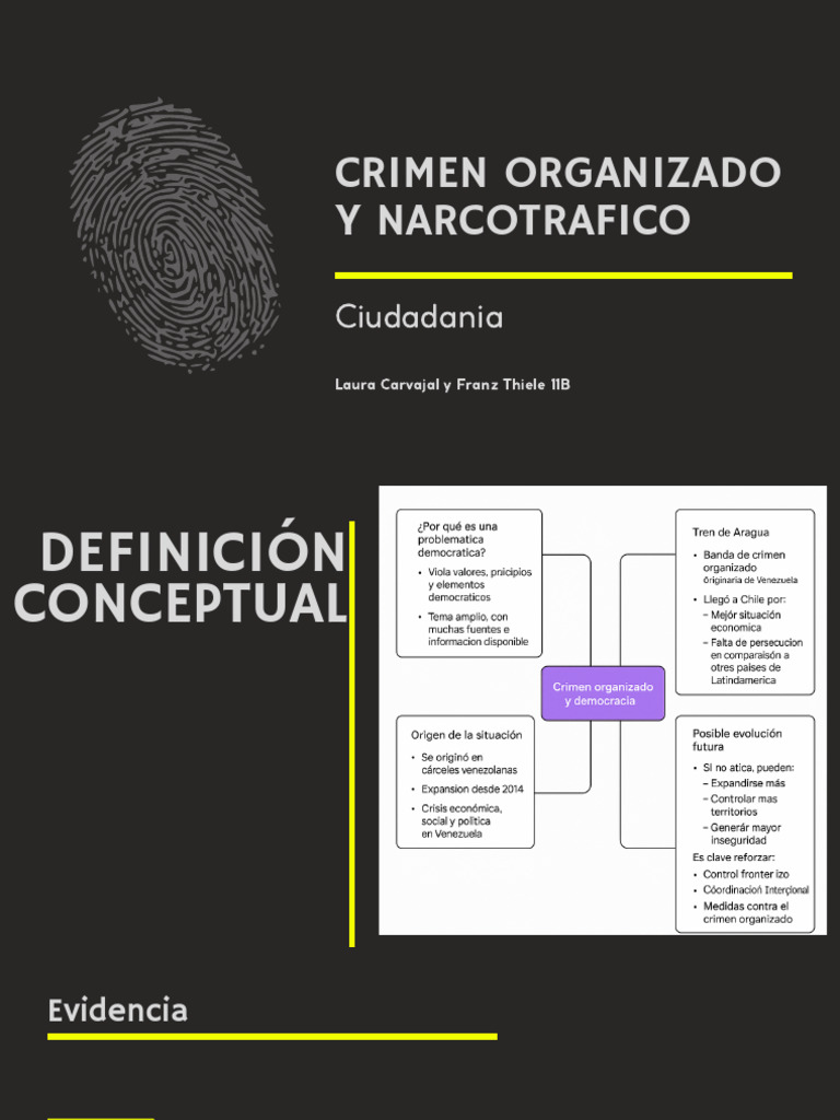 Laura Carvajal y Franz Thiele - Crimen Organizado | PDF | Cumplimiento ...