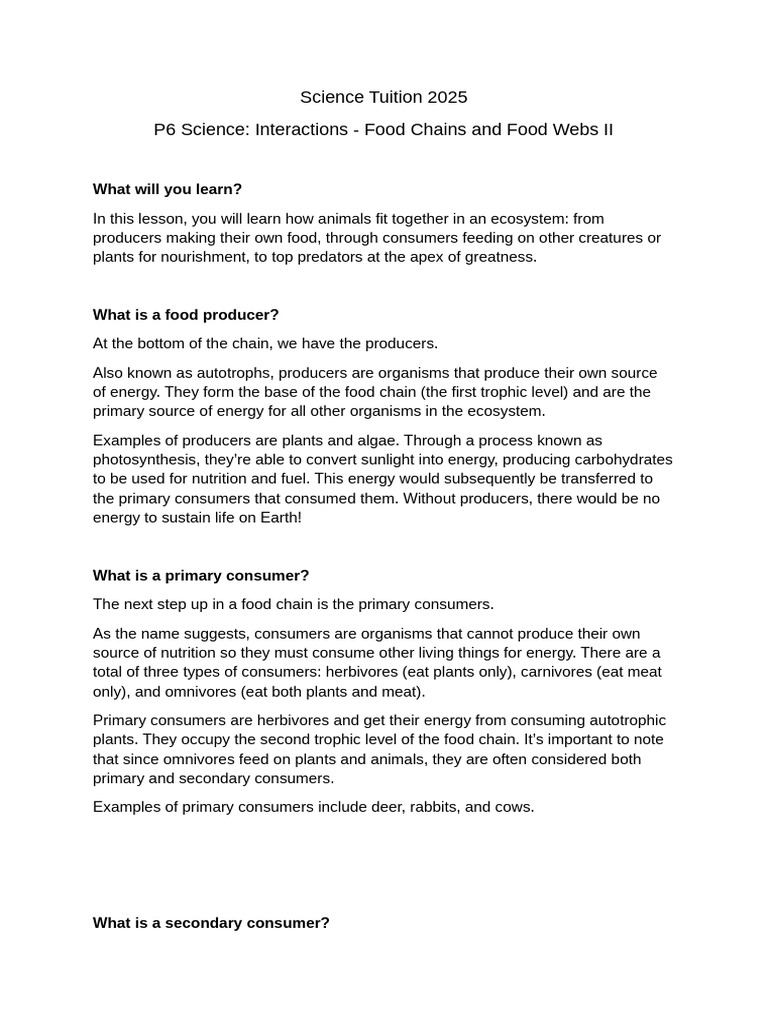 P6 Food Chains and Food Webs II Class Worksheet | PDF | Food Web ...