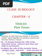 Class 9 Science: Tissues Revision Notes | PDF | Epithelium | Tissue ...