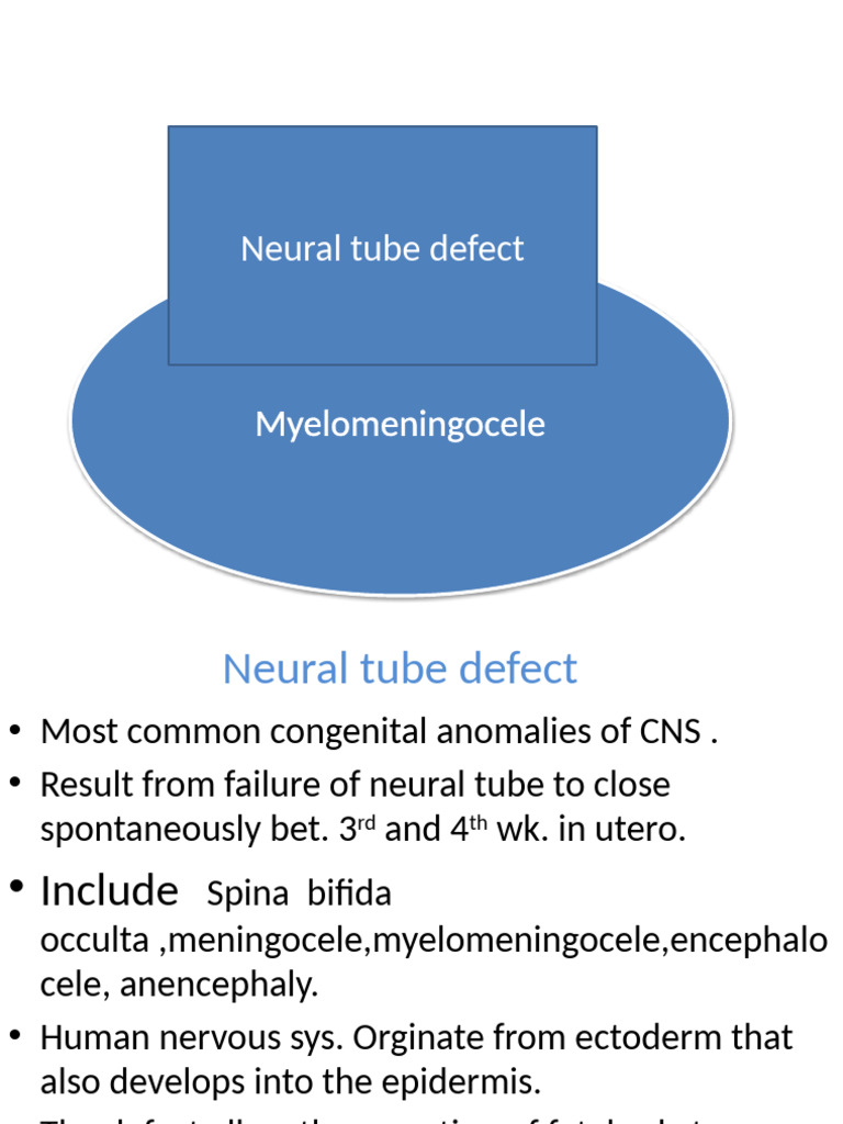 Neural Tube Defect | PDF