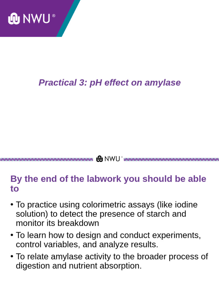 pH Impact on Amylase Activity Lab | PDF