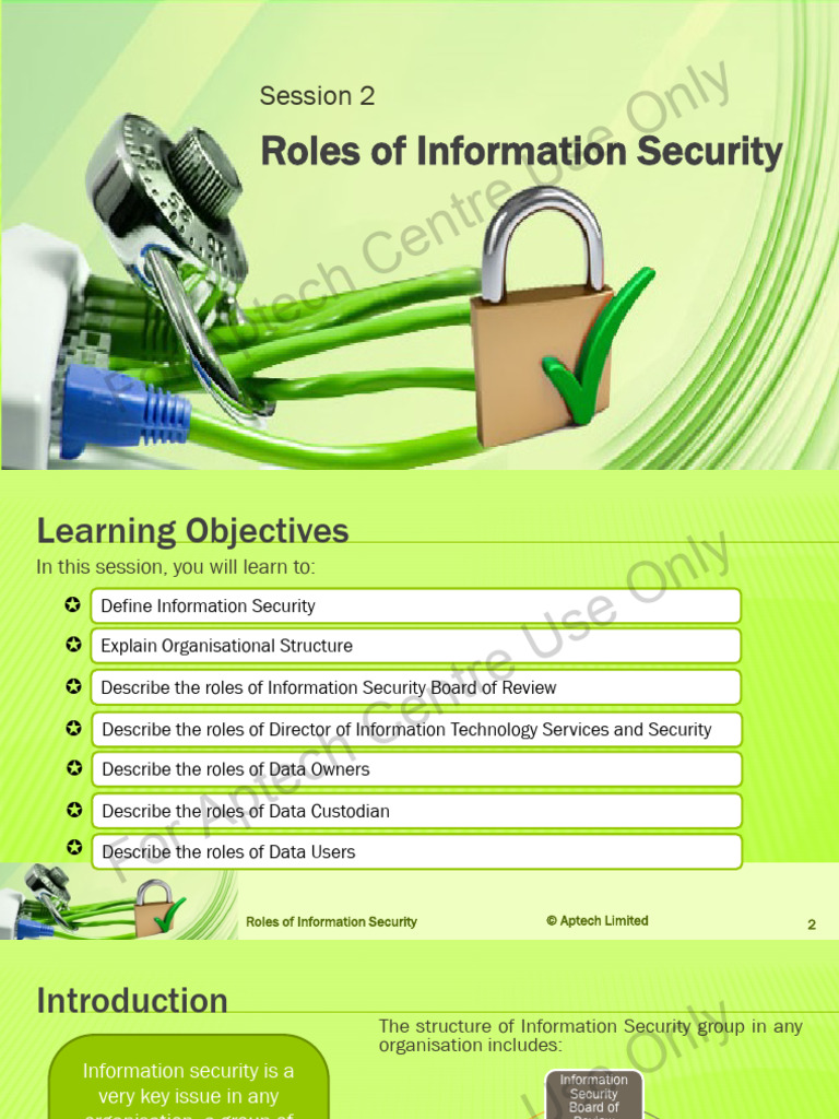 Information Security Roles Explained | PDF | Information Security | Data