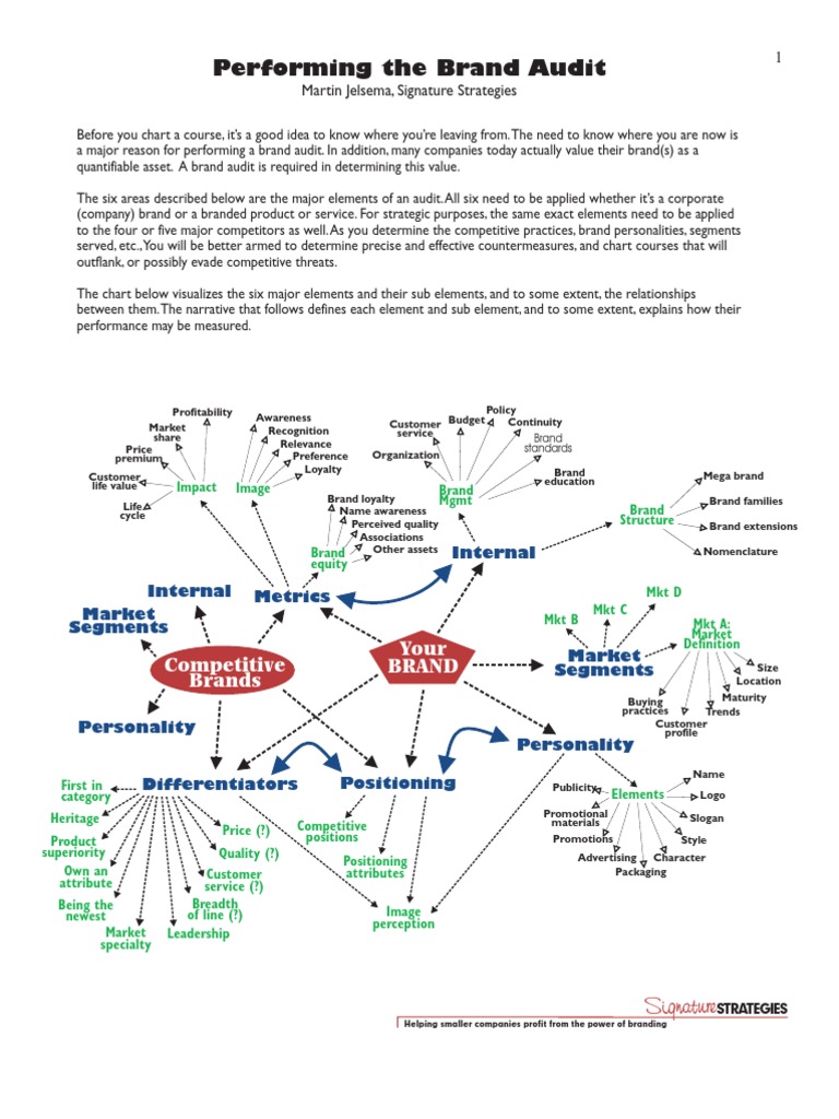 Performing Brand Audit | PDF | Brand | Market Segmentation
