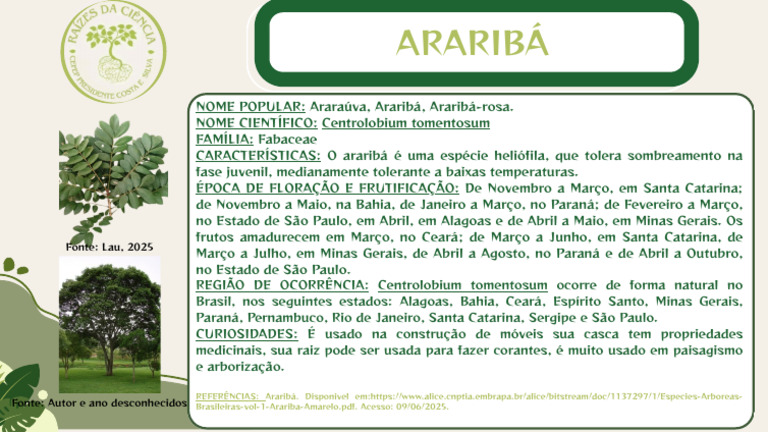 Características da Árvore Araribá | PDF