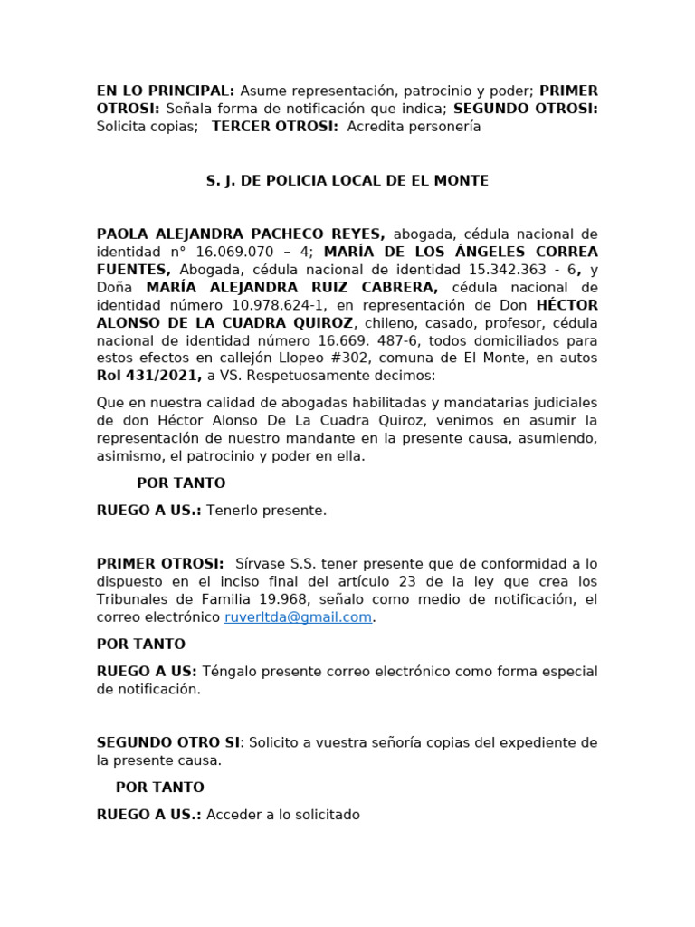 Asume Representacion | PDF