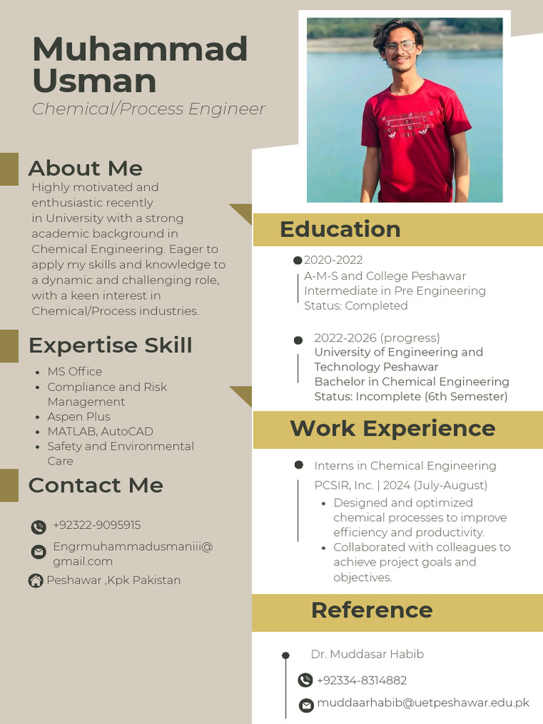 Usman Professional CV Resume | PDF