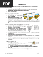 Frog Brain Development Process Explained | PDF | Cerebrum | Nervous System