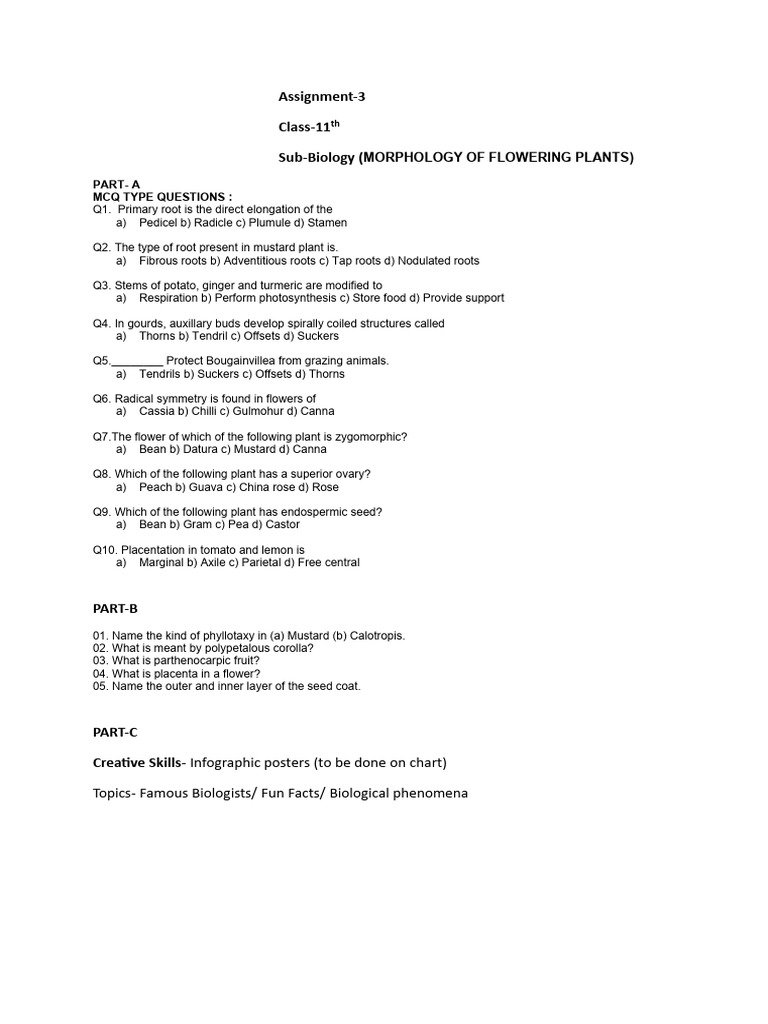 Class 11 Biology: Flowering Plants MCQs | PDF