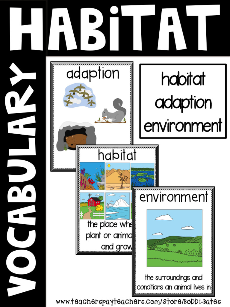 Animal Habitats Vocabulary Guide | PDF