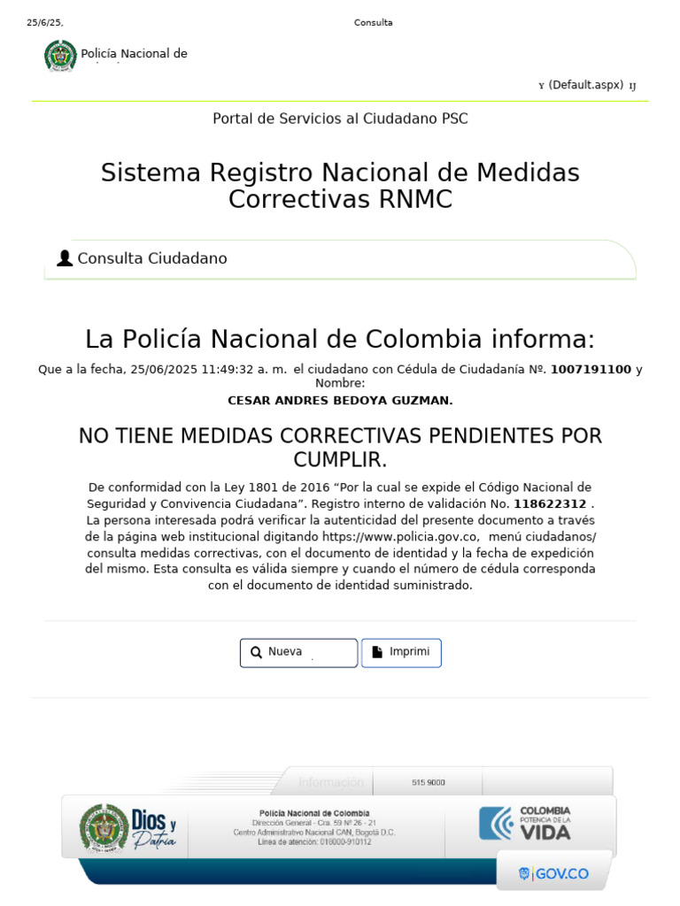 Consulta Rnmc Pdf