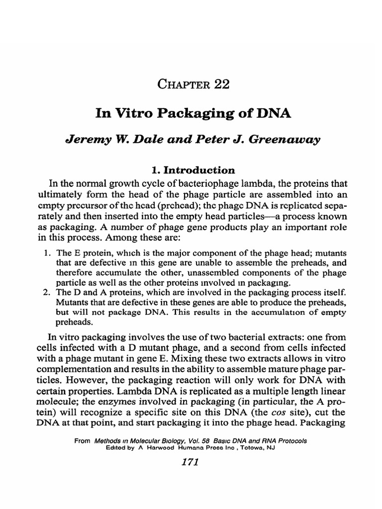 In Vitro Packaging of DNA - Bacteriophage | PDF | Bacteriophage | Life ...