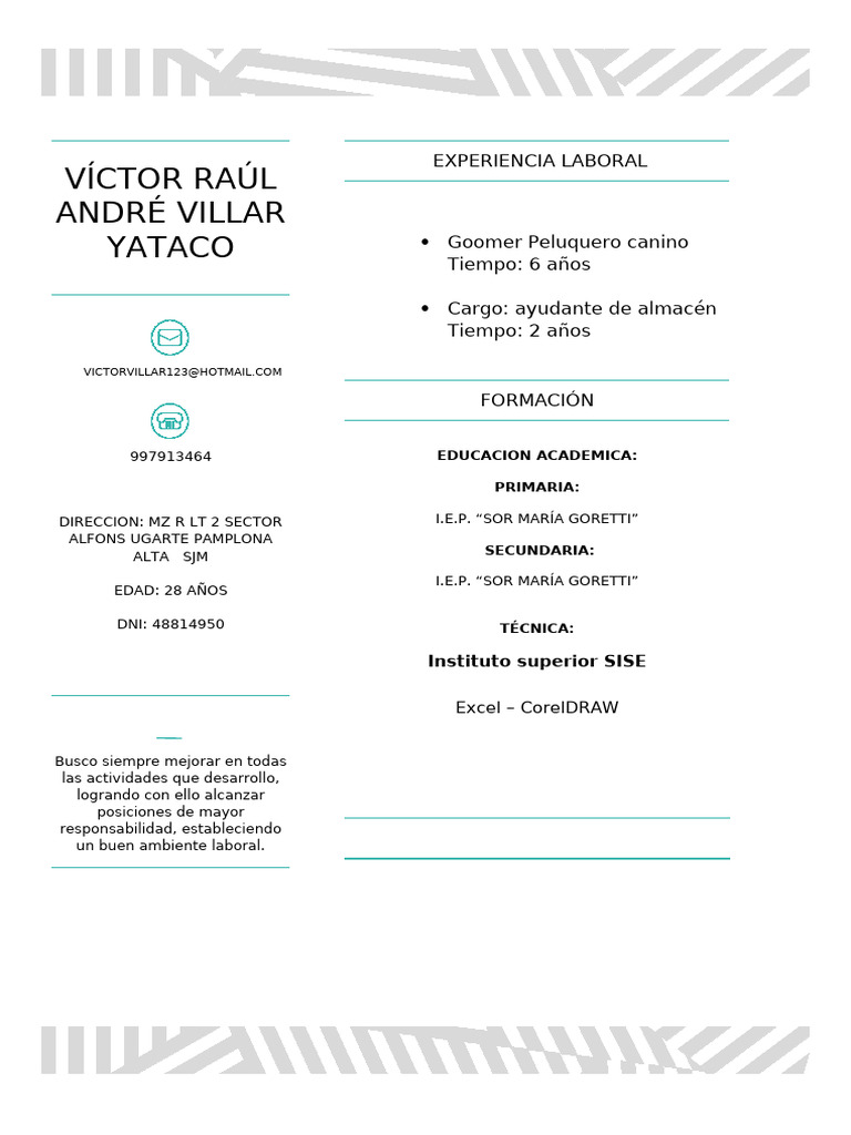 CV Victor | PDF