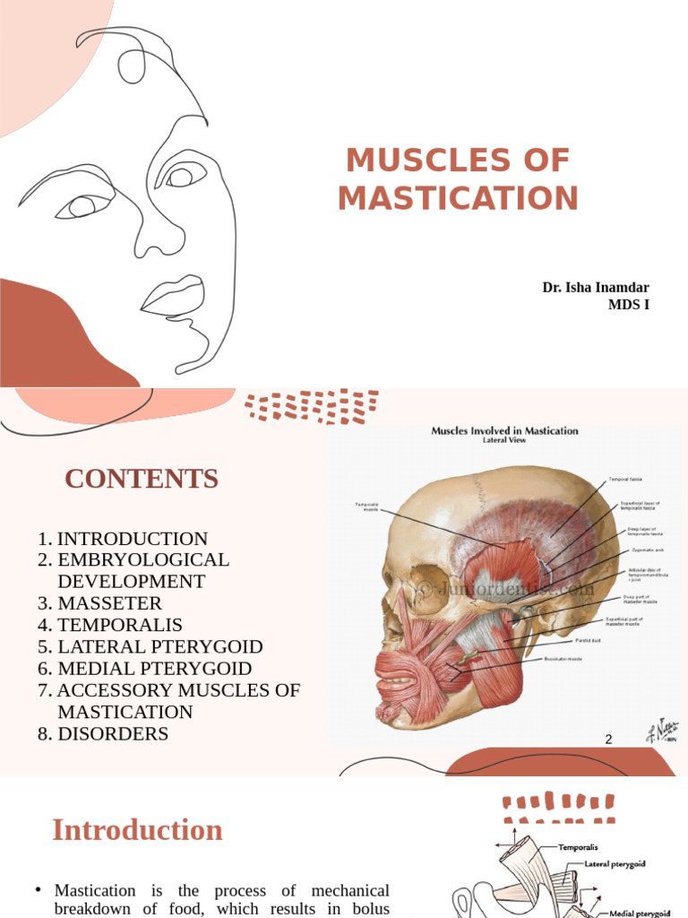 Anatomy of Muscles of Mastication | PDF | Human Anatomy | Human Head ...