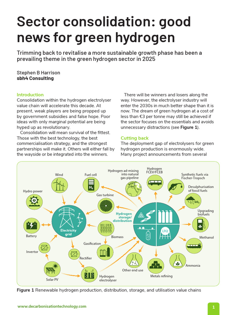 Green Hydrogen Electrolyser Industry Trends | PDF | Chemical Process ...