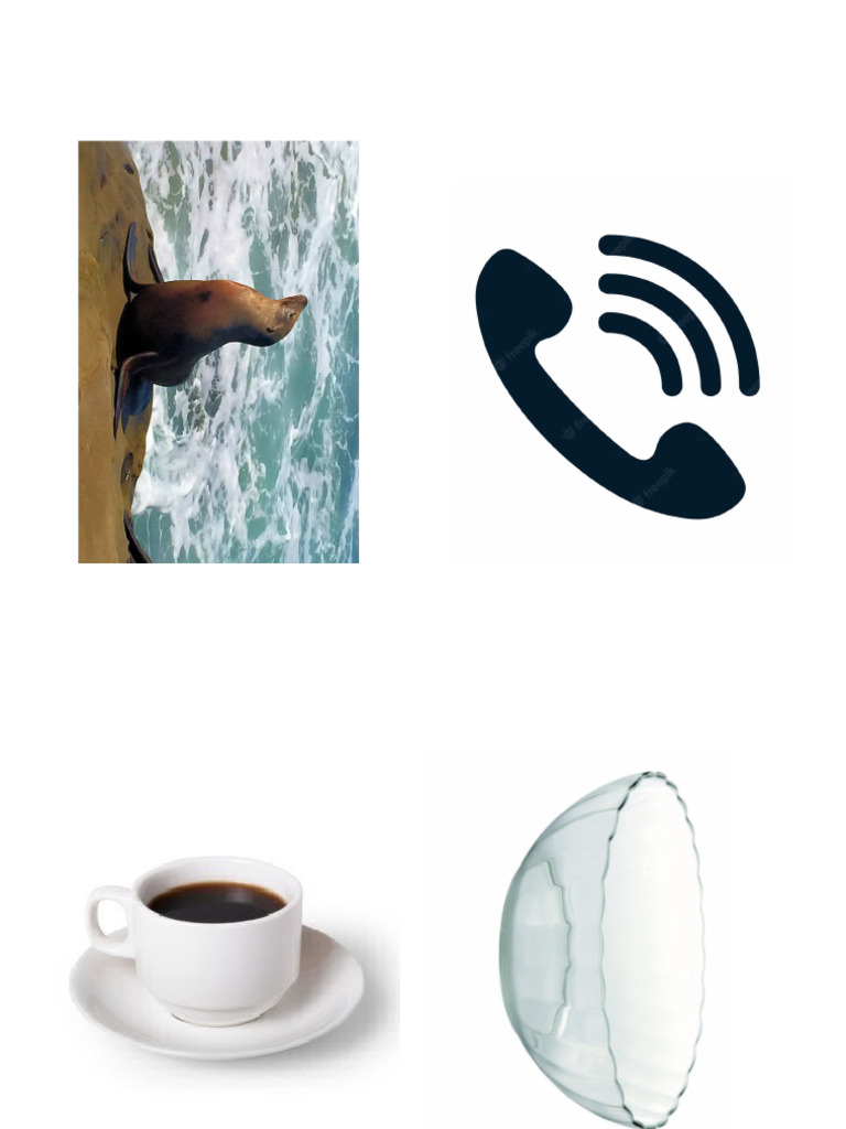 Imagenes Con F | PDF
