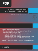 Essential Caribbean Food Groups Guide | PDF