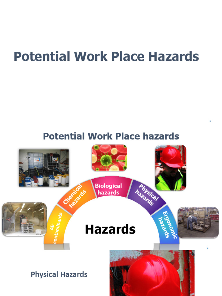 Types of Workplace Hazards Explained | PDF