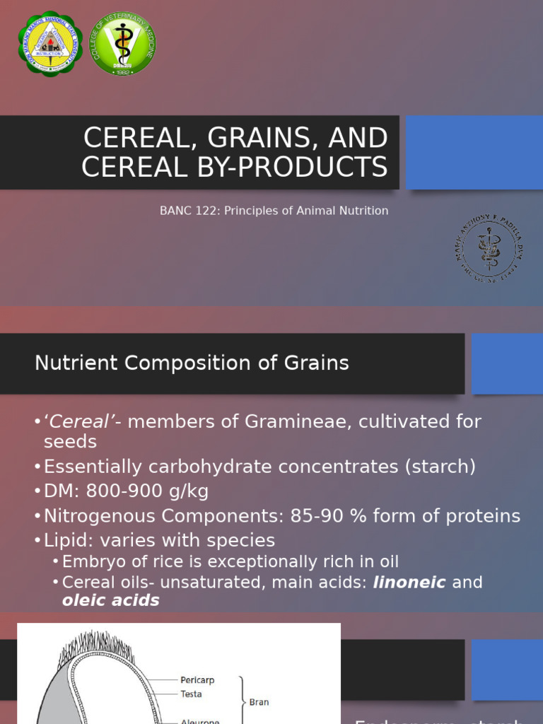 Part 5.5 Cereal Grains and Cereal by Products | PDF | Cereals | Nutrition