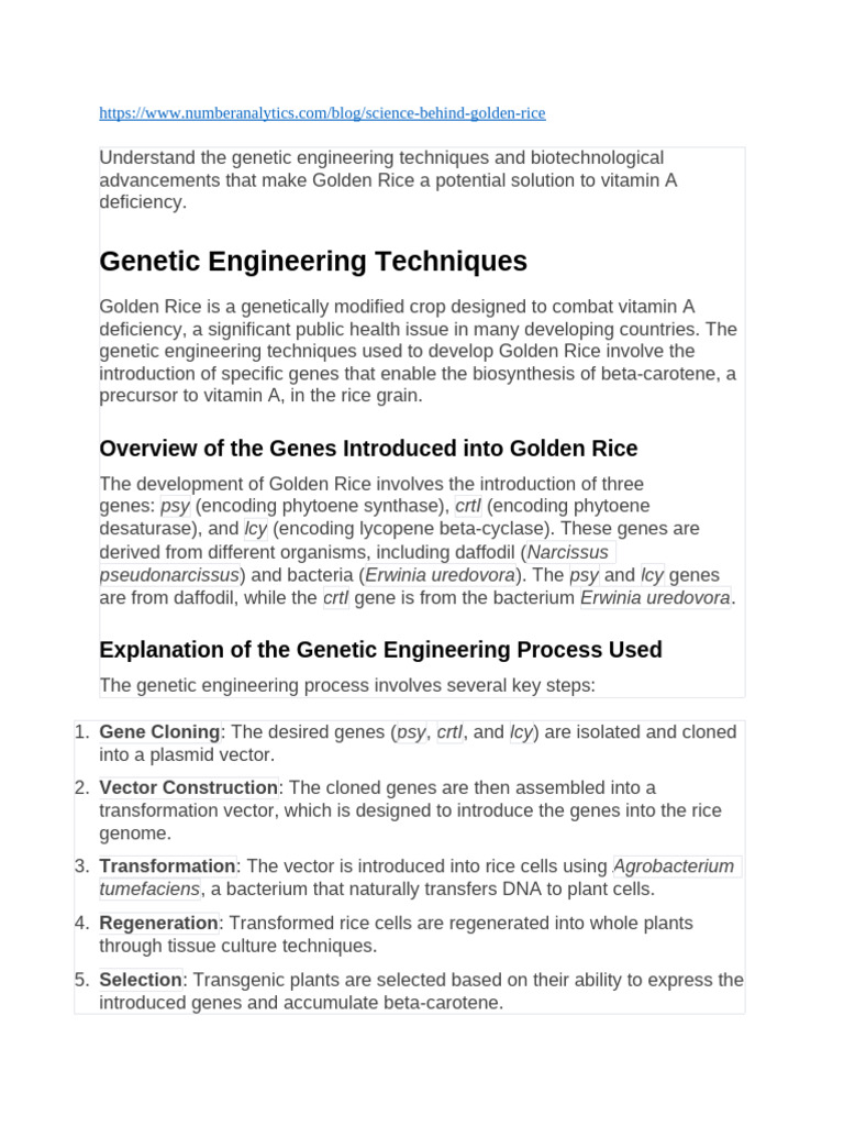 Process of Golden Rice Production3 | PDF | Genetic Engineering ...