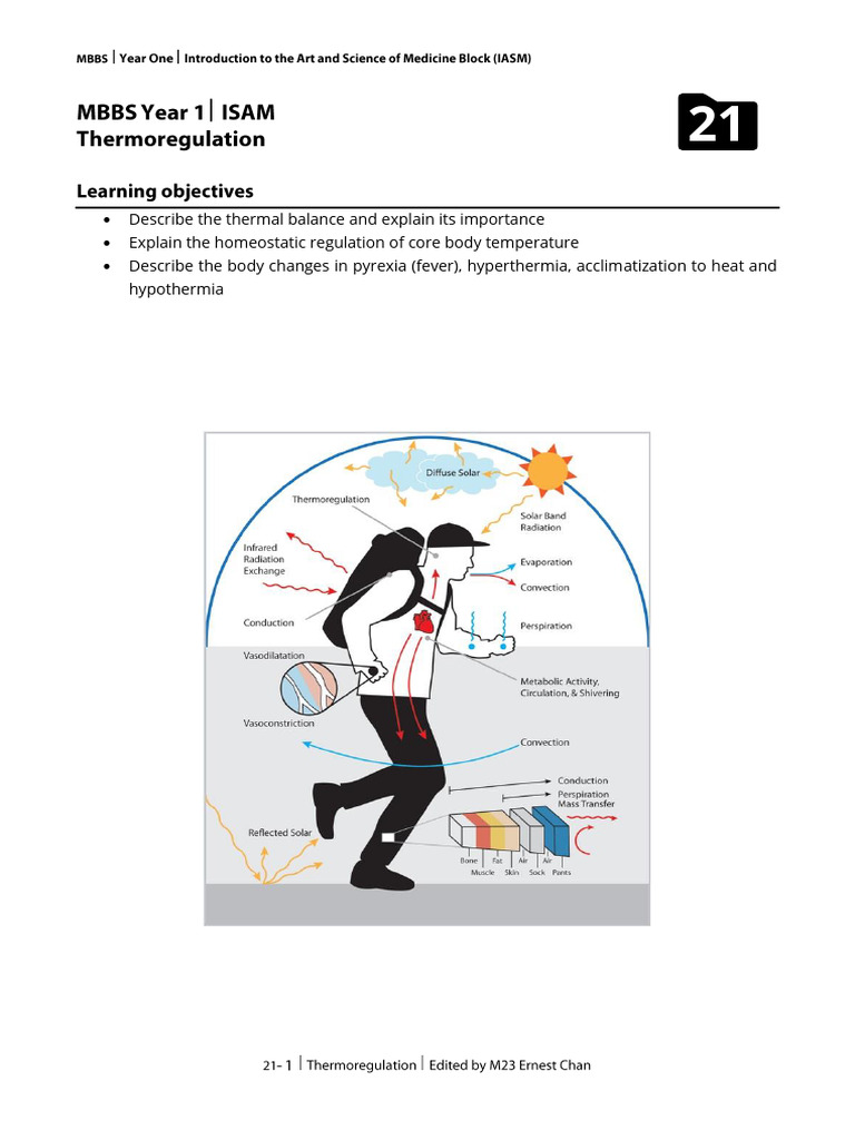 L21 Thermoregulation | PDF | Thermoregulation | Hyperthermia