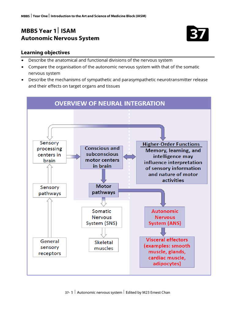 L37 Autonomic Nervous System | PDF | Autonomic Nervous System | Nervous System