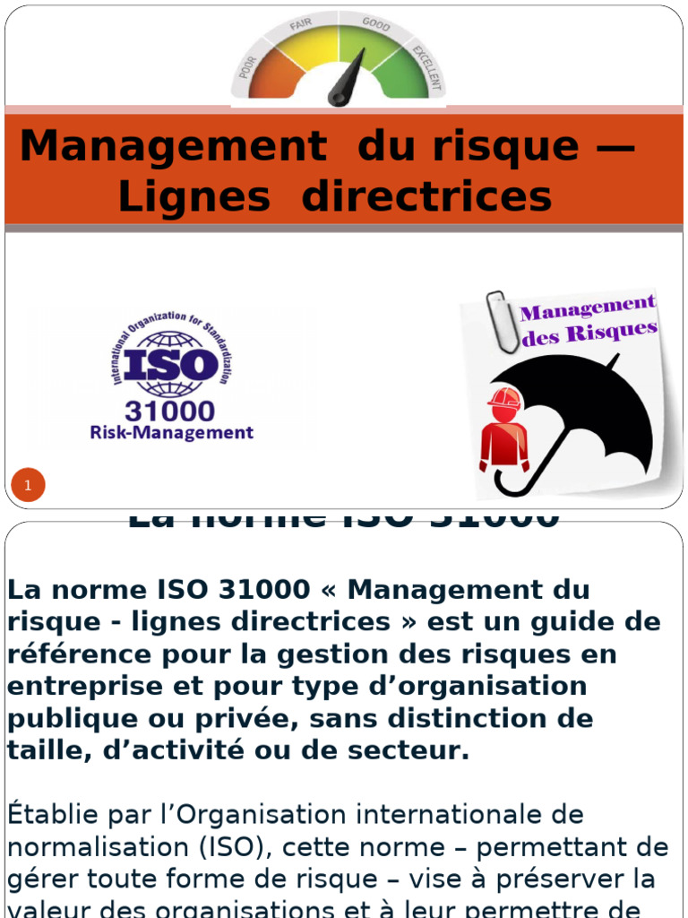 2-Cours - ISO 31000 | PDF | Gestion des risques | Risque