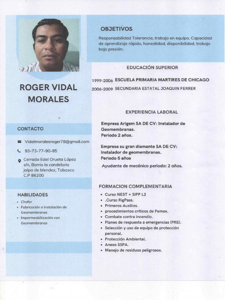 Cv Roger Vidal Morales | PDF