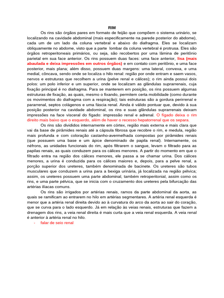 TREINO ANATO - RIM | PDF | Rim | Morfologia (Biologia)