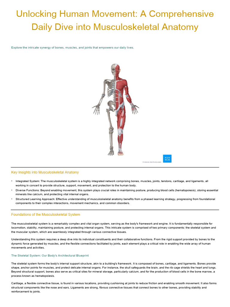 Unlocking Human Movement A Comprehensive Daily Dive Into ...