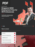 MOM Employment/S Pass Assessment Tool | PDF | Employment