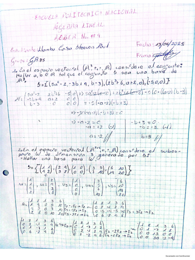 Llamba Paul Algebra Lineal-Deber #9 | PDF