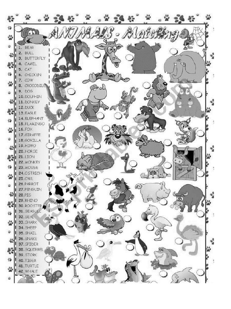 Animals | PDF
