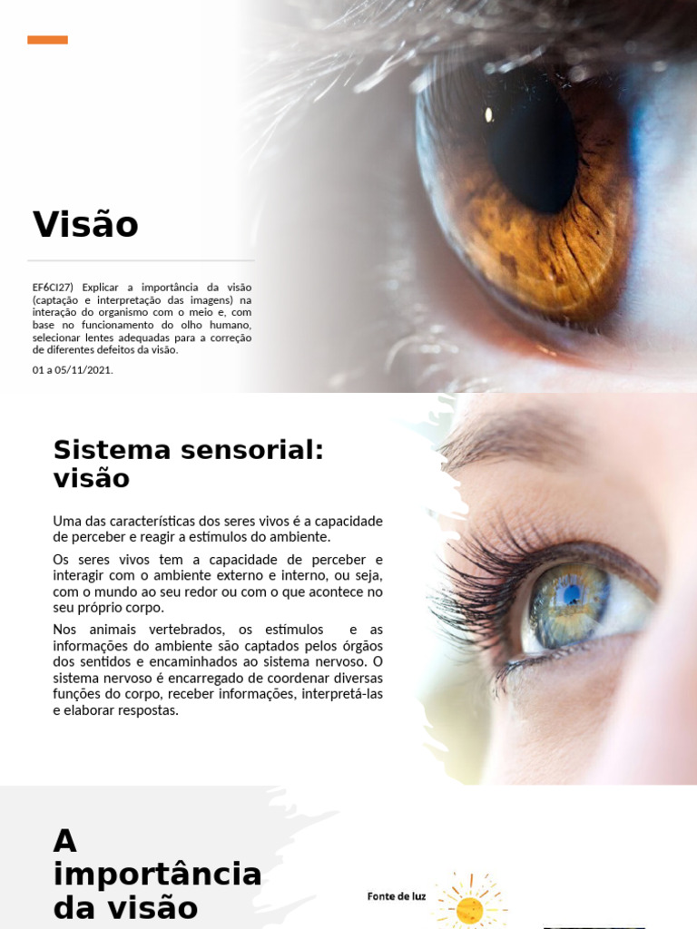 Importância da Visão e Correção Visual | PDF | Olho | Olho humano