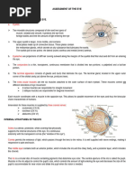 Sheep Eye Dissection Guide | PDF | Eye | Senses