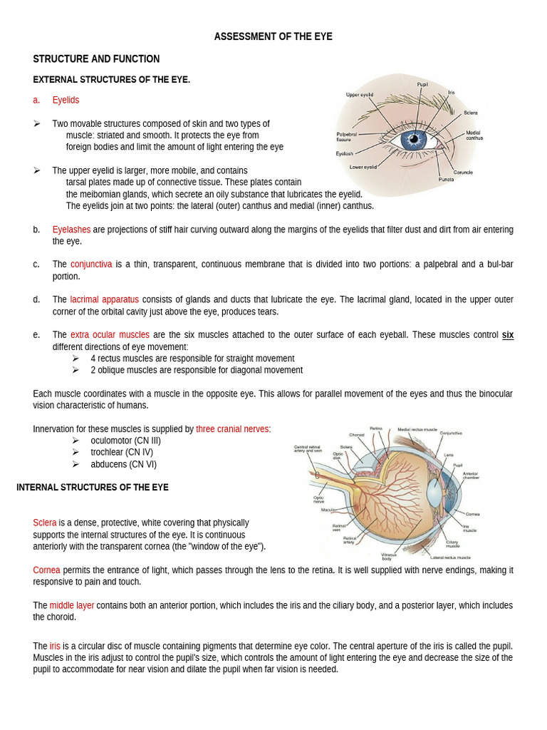 Eye Assessment Nursing Guidelines | PDF | Human Eye | Human Anatomy