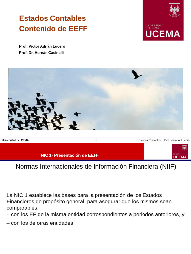 Contenidos de Los EEFF - Presentación | PDF | normas internacionales de INFORMACION FINANCIERA ...