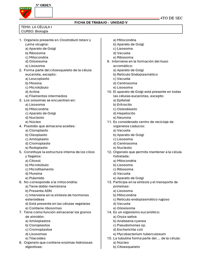 Ficha de Trabajo Célula I (4to Sec) - 1 | PDF | Citoplasma | Biología ...