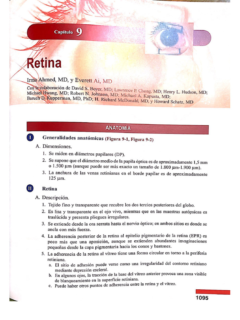 Retina - Gold, Lewis | PDF