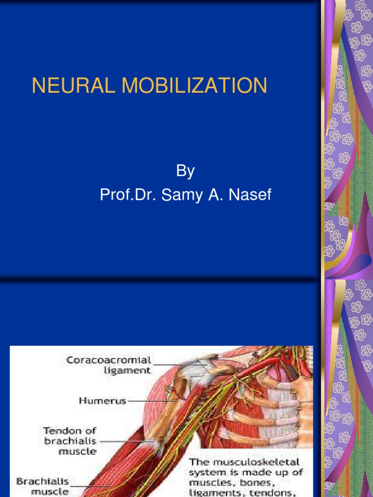 Neural Mobilizationw10 | Anatomical Terms Of Motion | Nerve