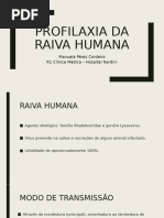Ficha Antirrabica Preenchivel 27112020 | PDF | Raiva | Sistema de saúde