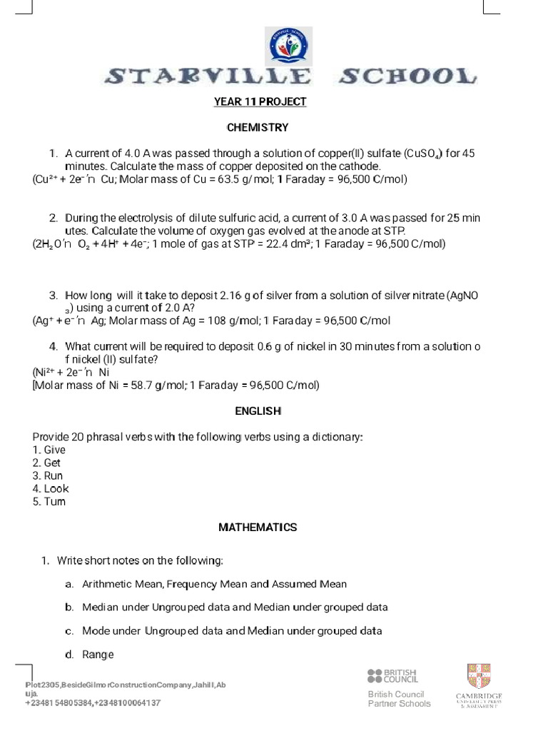 Year 11 Project Svs | PDF