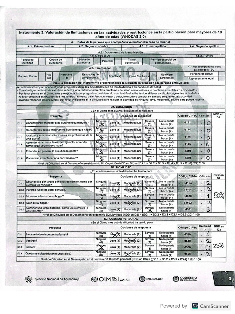 Formato Whodas 2.0 | PDF