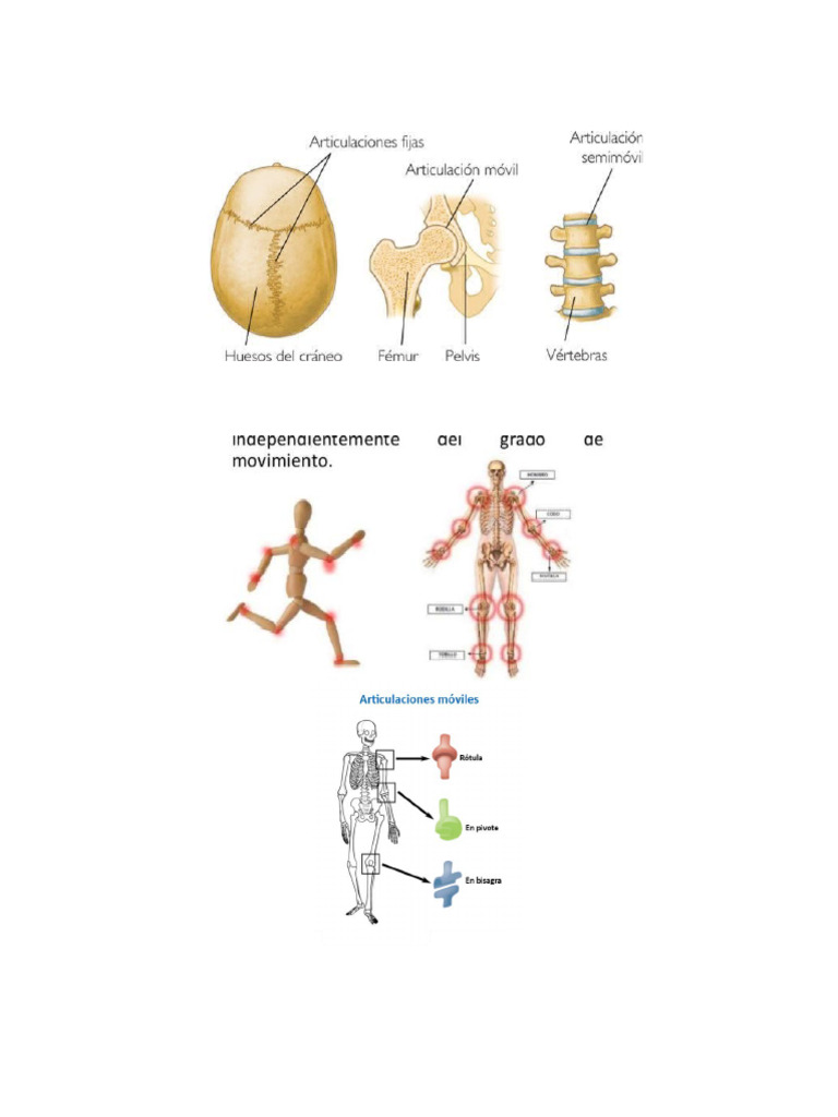 Art Icu Laci Ones | PDF