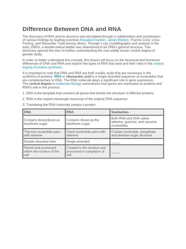 DNA vs. RNA: Structure and Function | PDF | Rna | Dna